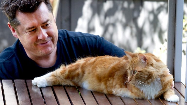 Buster the cat: Three legs but eight lives still left | Wyndham