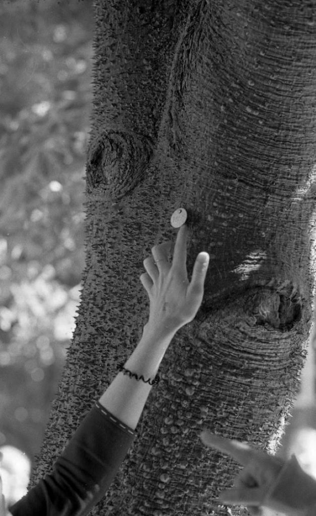 Damien's Dianella display | Wyndham